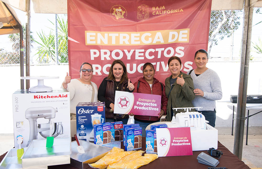 PROYECTOS PRODUCTIVOS